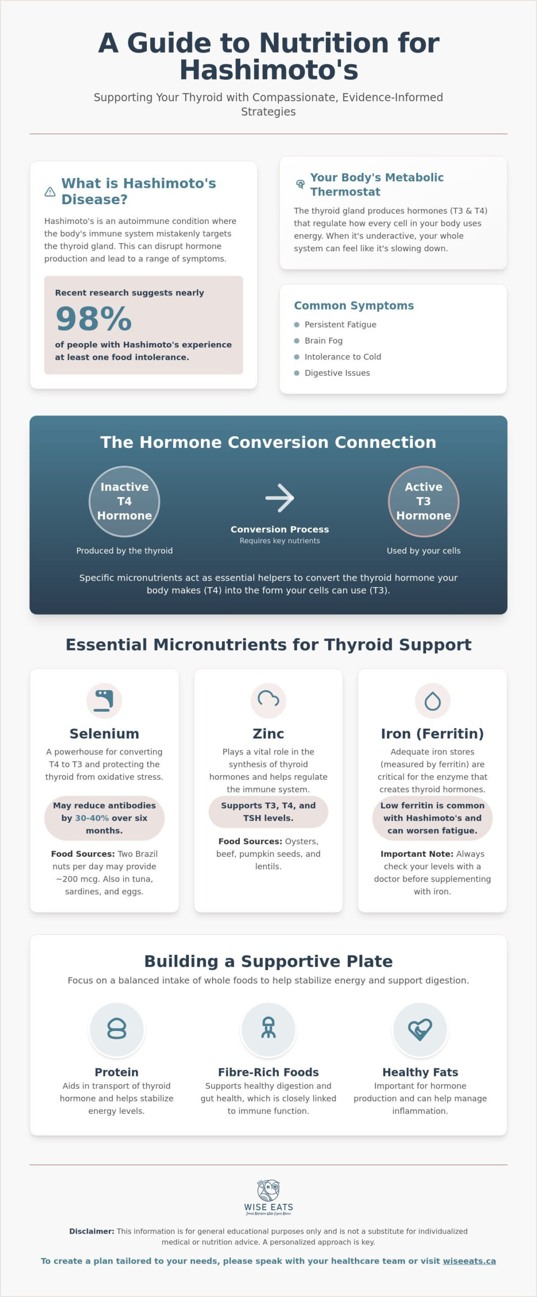 Nutrition for Hashimoto’s Disease: An Evidence-Informed Guide to ...